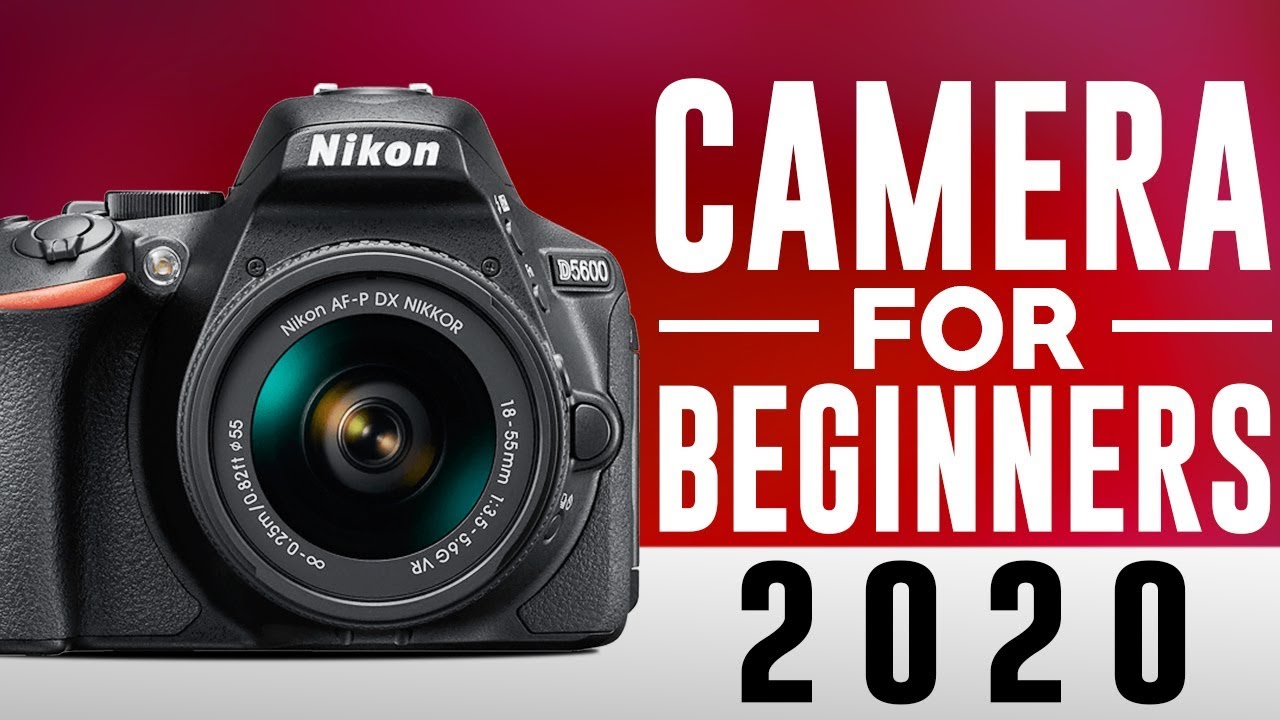 5 Best Cameras For Beginners In 2020