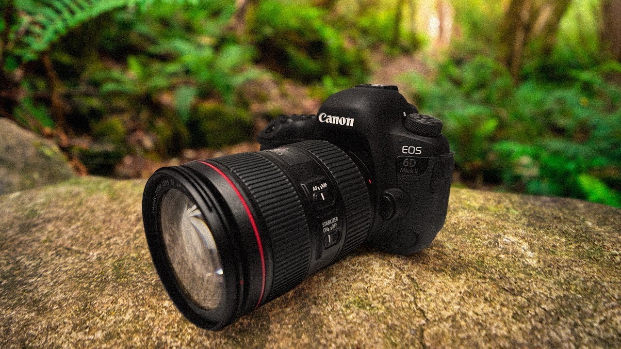 Best Budget DSLRs In 2020 | Top 3 Cheap DSLR Options