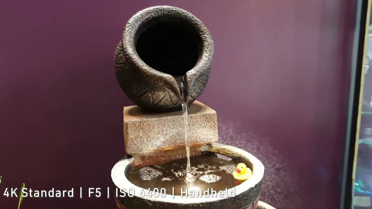 Sample Footage From The Fujifilm X-T50 | DPReview Test