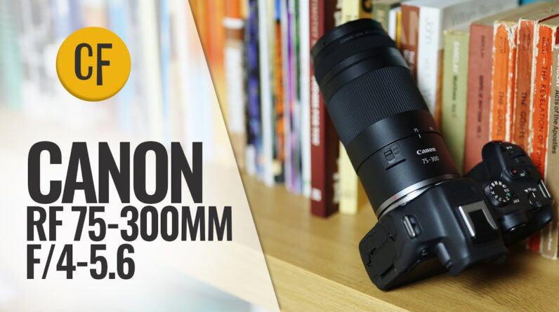 TTArtisan AF 35mm F/1.8 II Lens Review