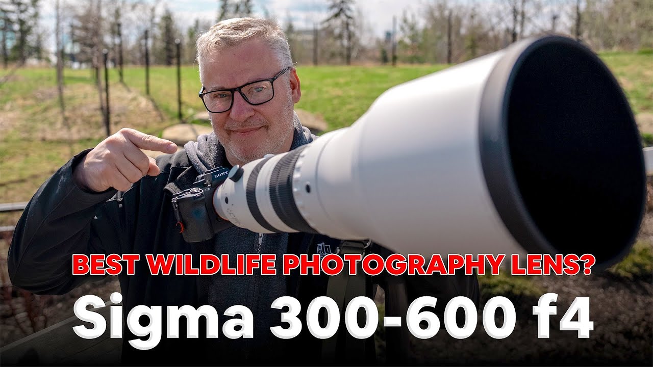 Sigma 300-600mm Is This The Ultimate Wildlife Lens | Hands-On Review